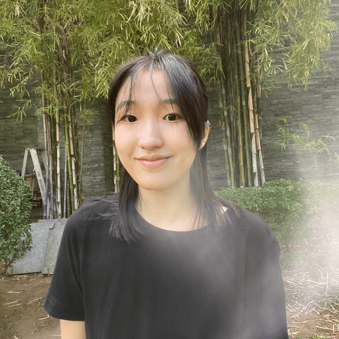 Online USACO Classes | Competitive Programming Initiative