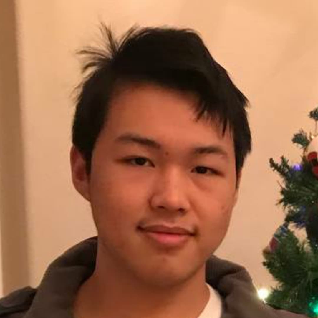 Self-Study USACO Classes | Competitive Programming Initiative