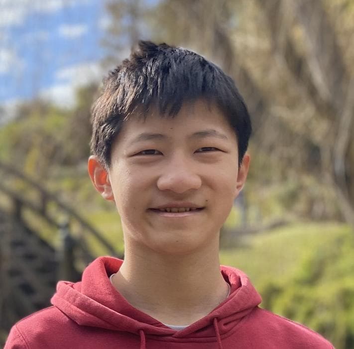 Online USACO Classes | Competitive Programming Initiative