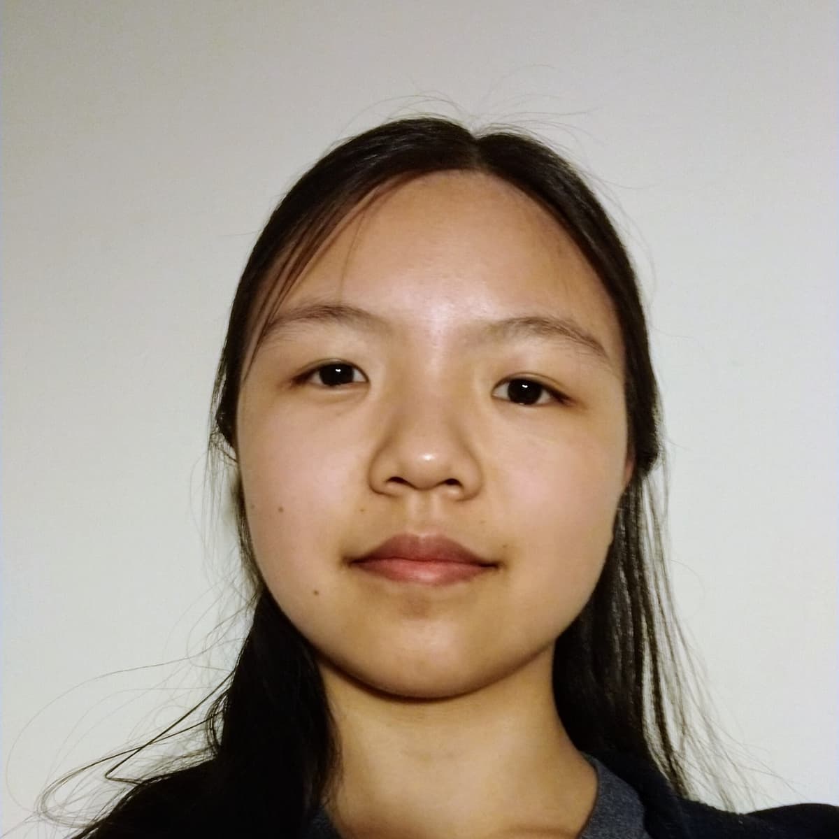 Self-Study USACO Classes | Competitive Programming Initiative